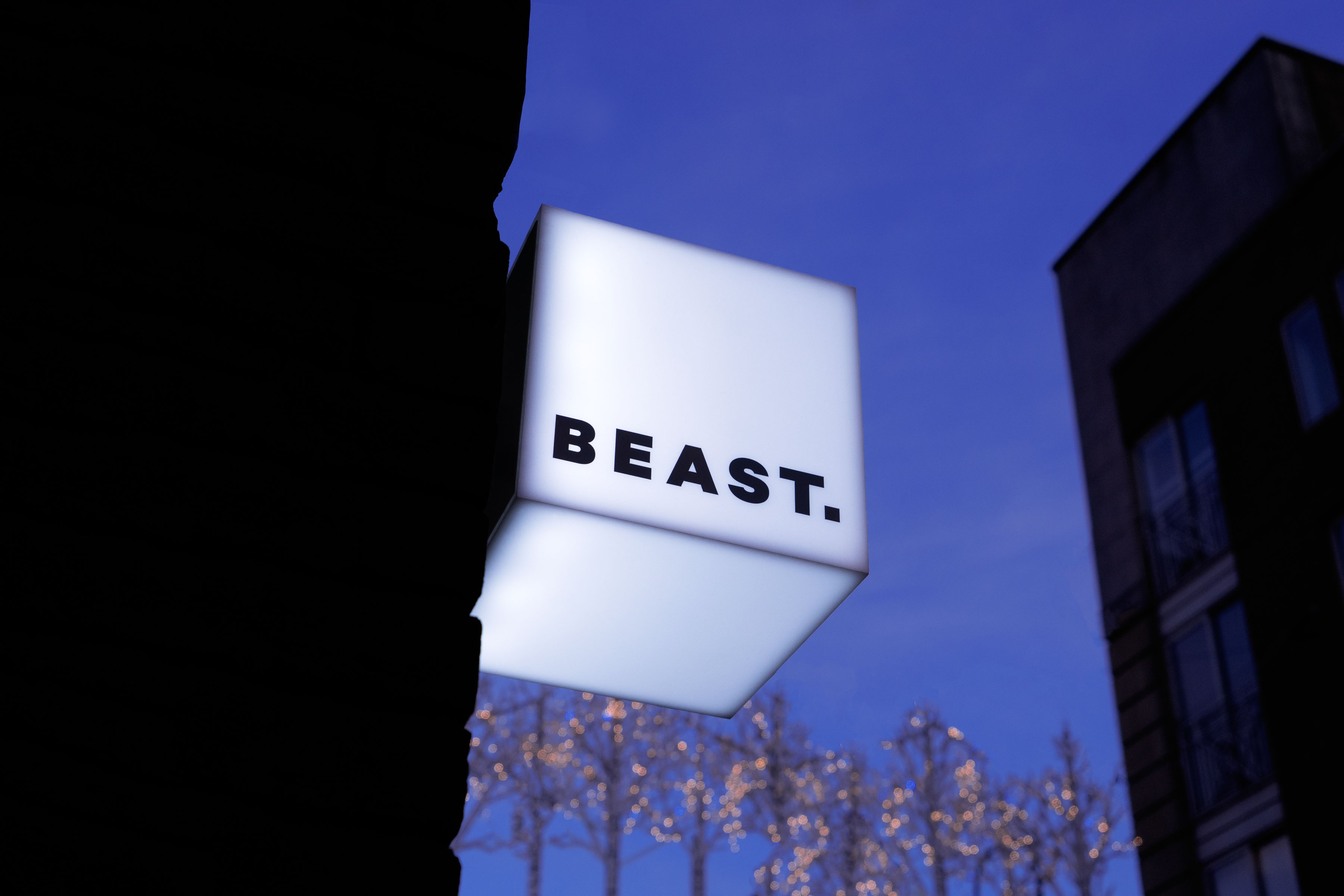 Beast · Fonts in use · Klim Type Foundry