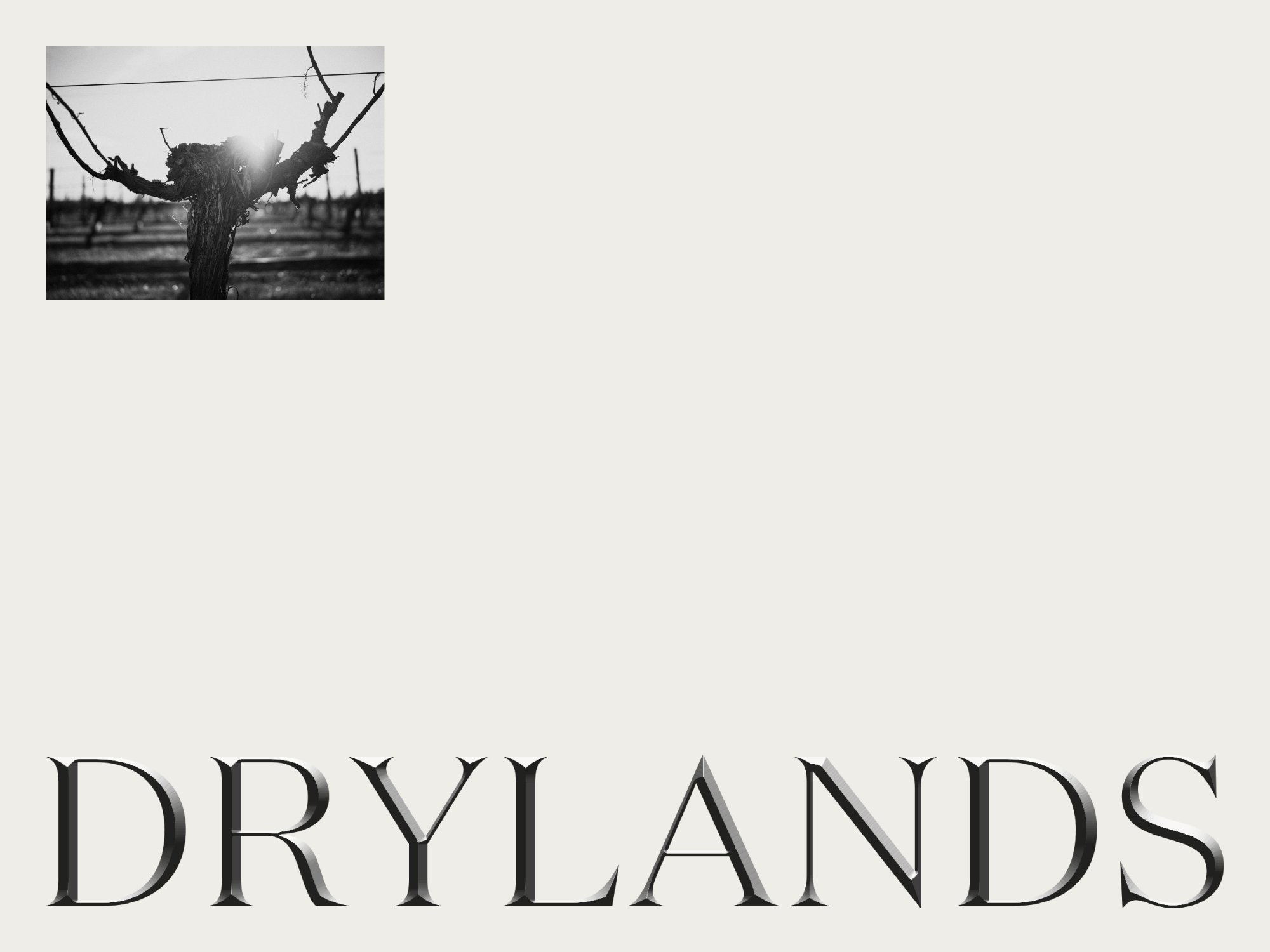 Drylands · Fonts in use · Klim Type Foundry