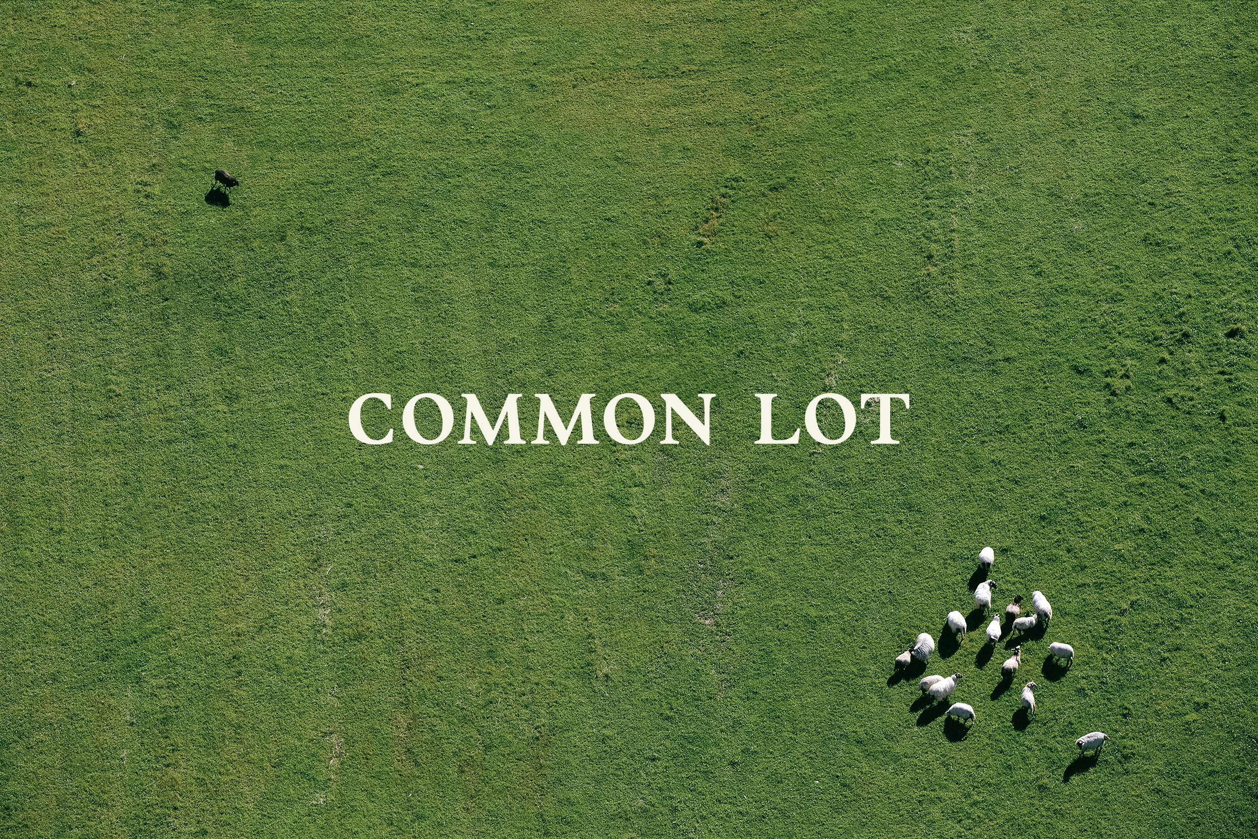 Common Lot · Fonts in use · Klim Type Foundry