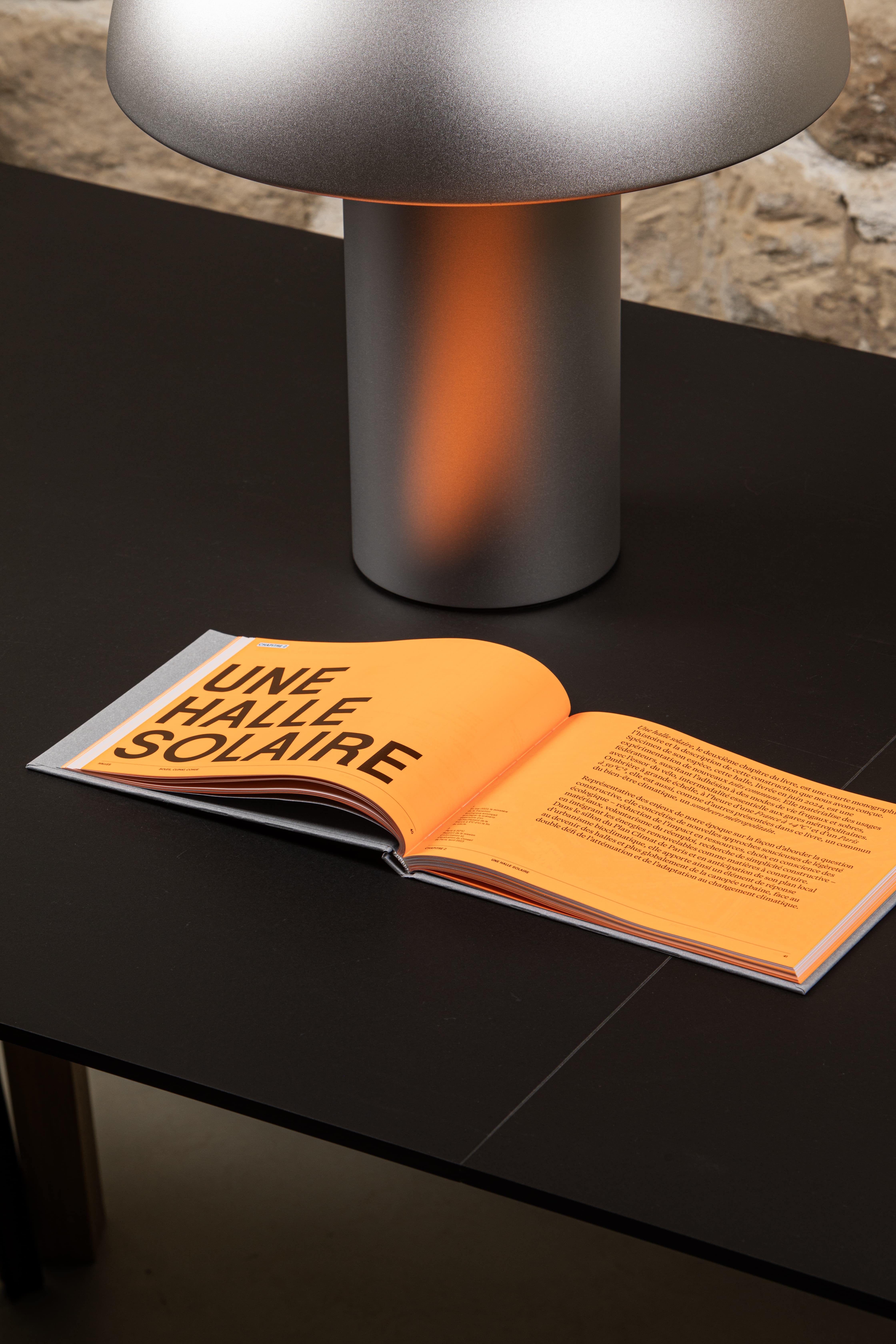 Halles soleil, climat, cohue · Fonts in use · Klim Type Foundry