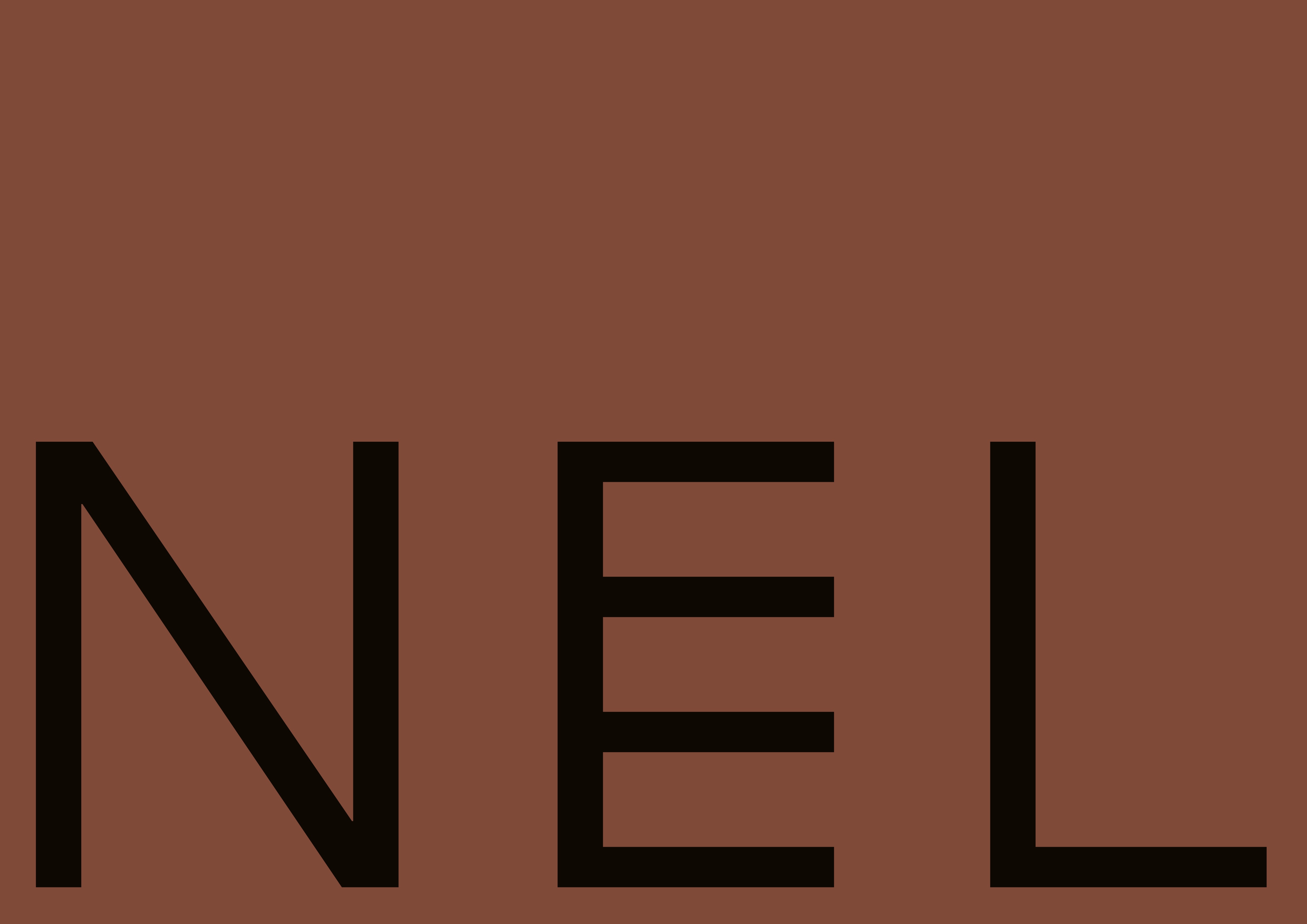 Nel Restaurant · Fonts in use · Klim Type Foundry