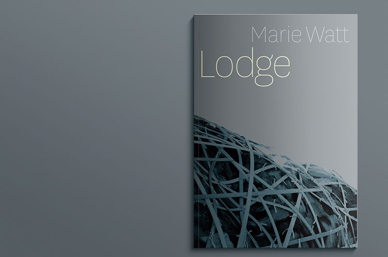 Marie Watt: Lodge · Fonts in use · Klim Type Foundry